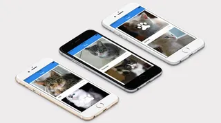 Building an Instagram-Like App with Parse and Swift