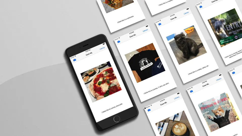 Introduction to Core ML: Building a Simple Image Recognition App