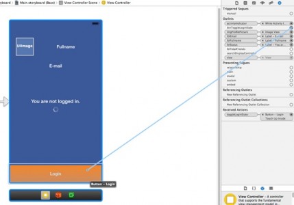 Integrating Facebook Login in iOS App - The Manual Way