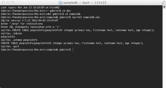 How to Use SQLite to Manage Data in iOS Apps