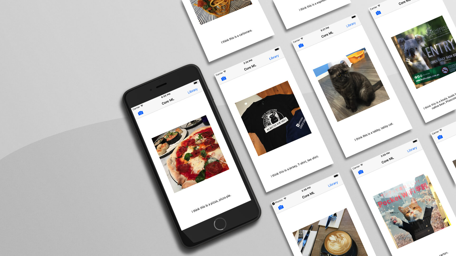 Introduction to Core ML: Building a Simple Image Recognition App