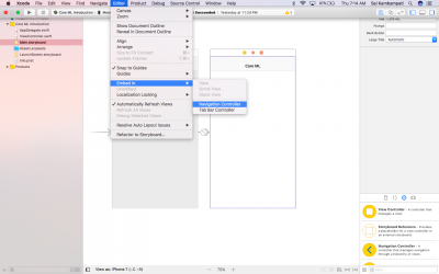 Introduction to Core ML: Building a Simple Image Recognition App