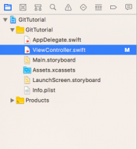 Understanding Git Version Control and Learn how to Use it in Xcode