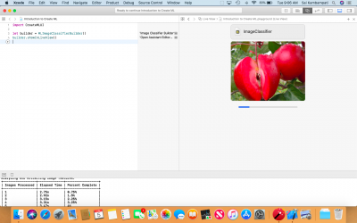 Introduction to Create ML: How to Train Your Own Machine Learning Model in Xcode
