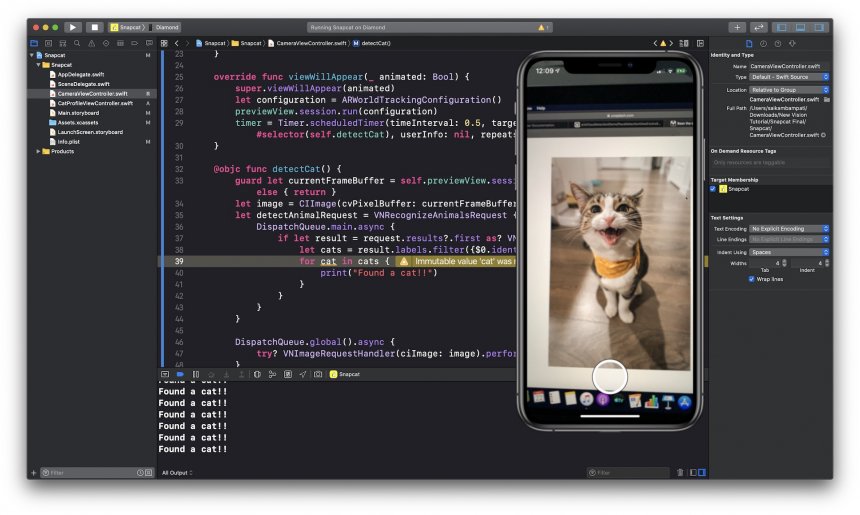 Vision Framework: Working with Text and Image Recognition in iOS