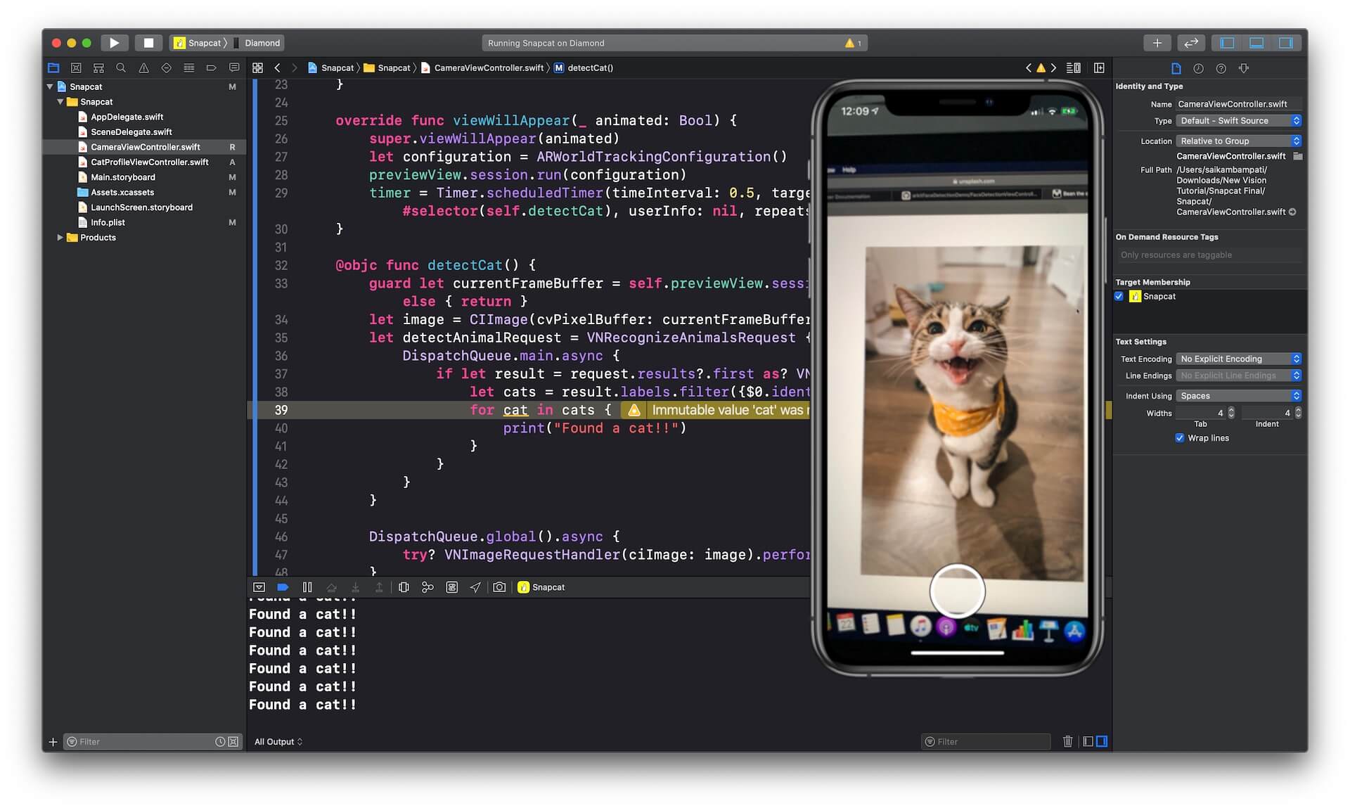 Vision Framework: Working with Text and Image Recognition in iOS