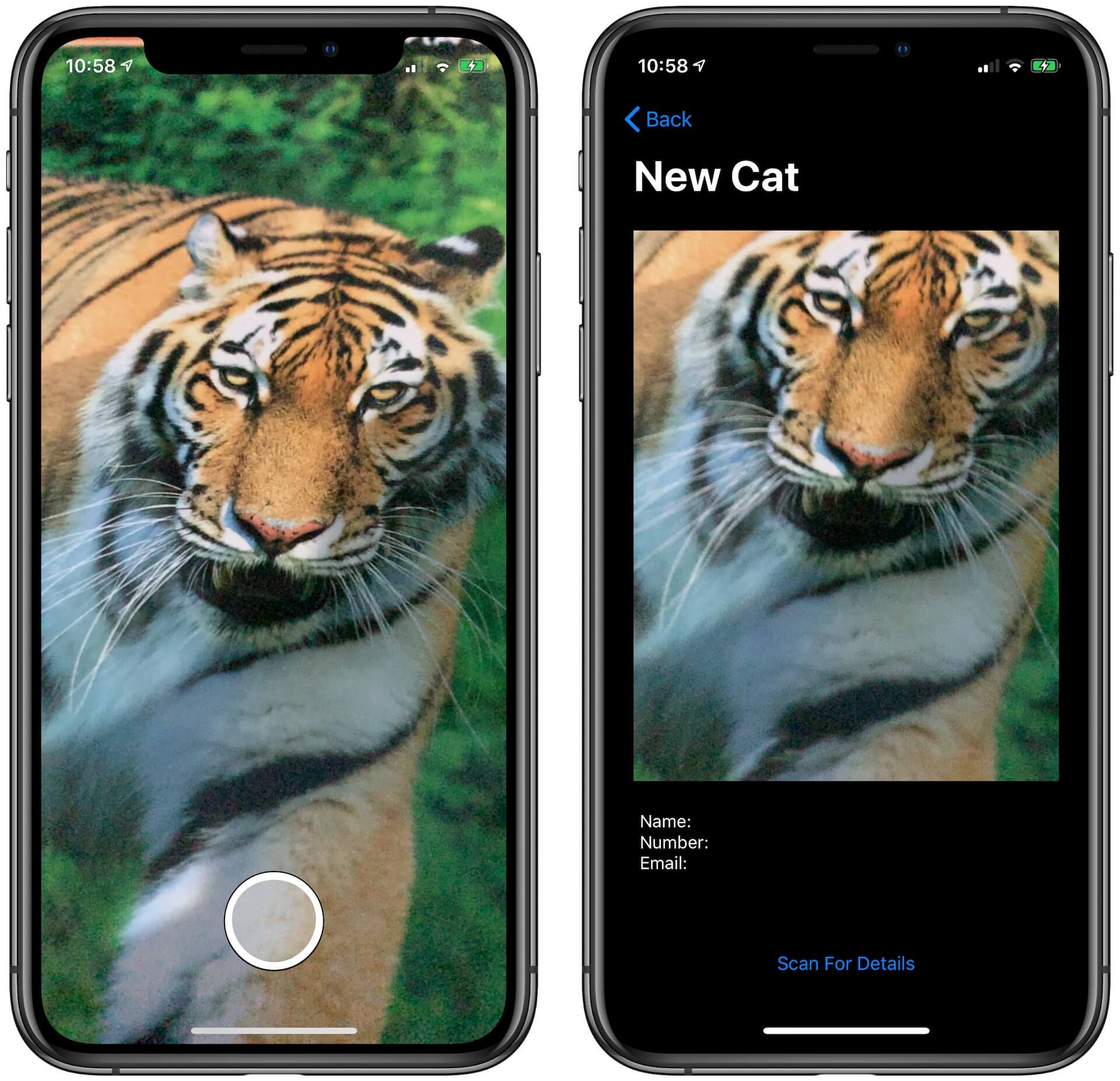 Vision Framework: Working with Text and Image Recognition in iOS