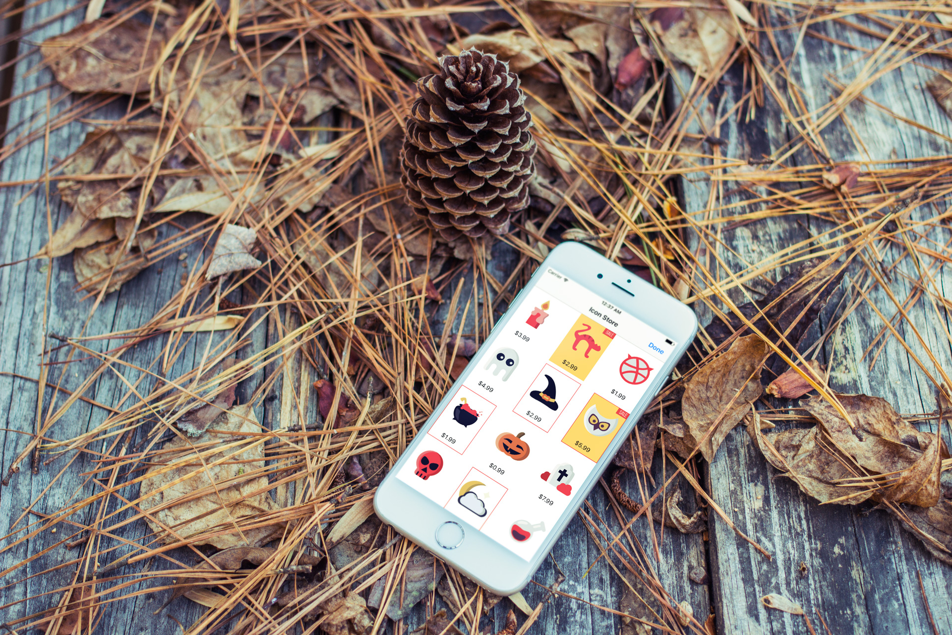 Chapter 19 - Interacting with Collection Views · Intermediate iOS 17 Programming with Swift (Sample)